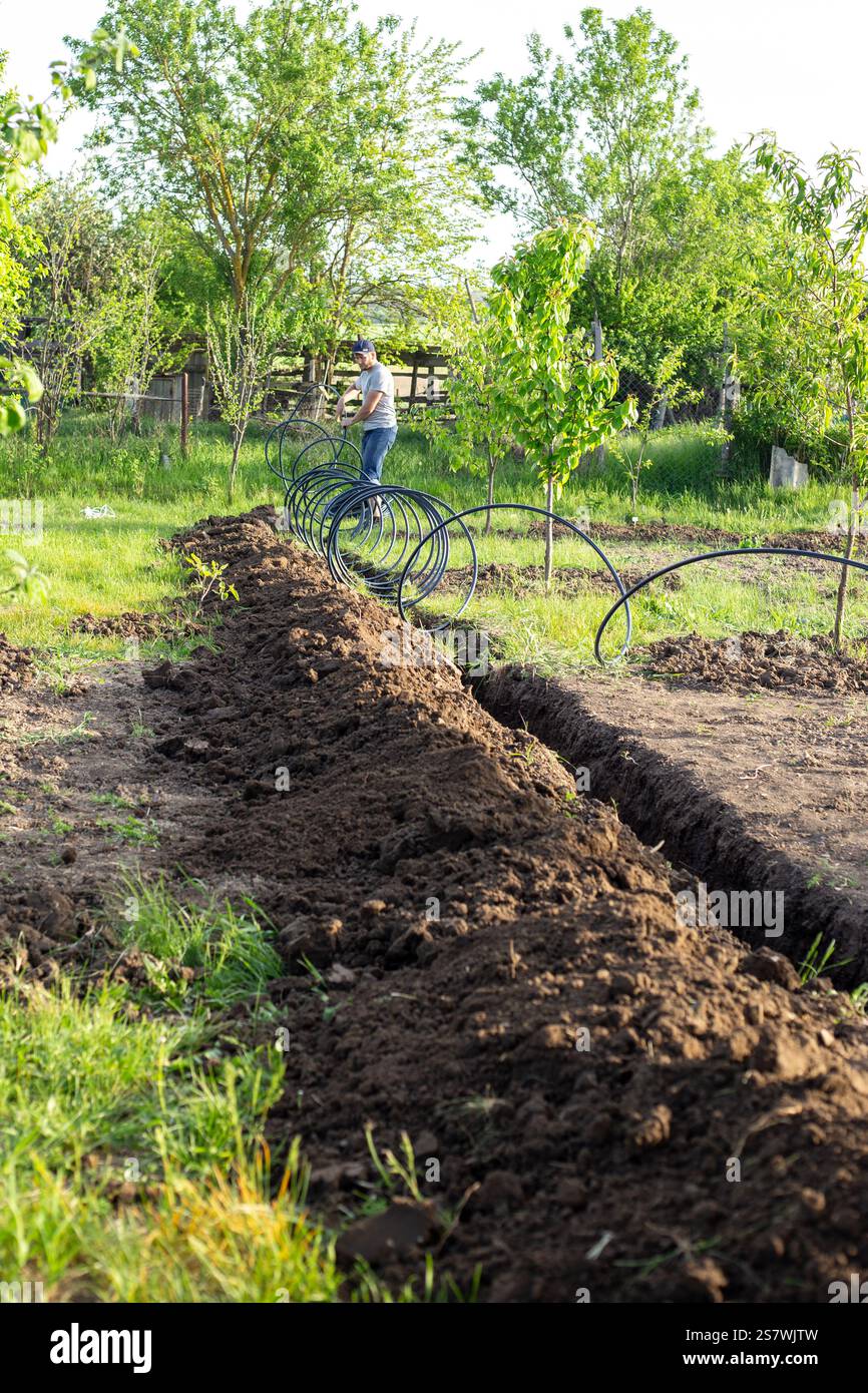 A worker in a garden lays an underground route for a drip irrigation ...