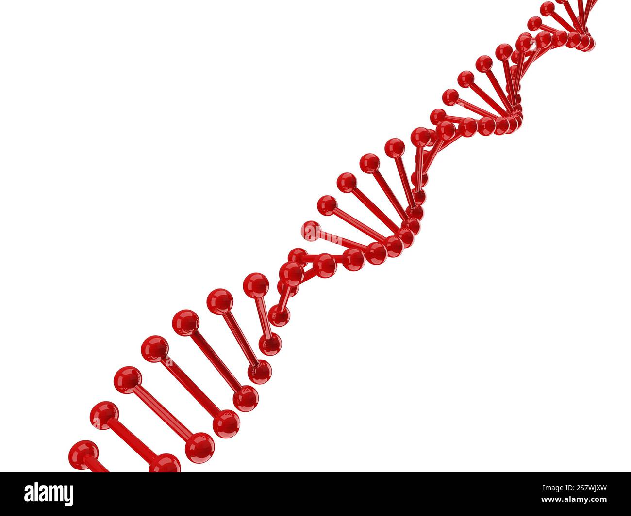 Dna molecule structure on a white background Stock Photo - Alamy
