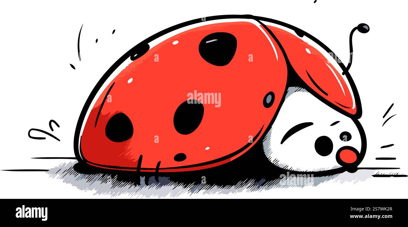 Ladybug vector illustration. Hand drawn cute ladybug isolated on white ...