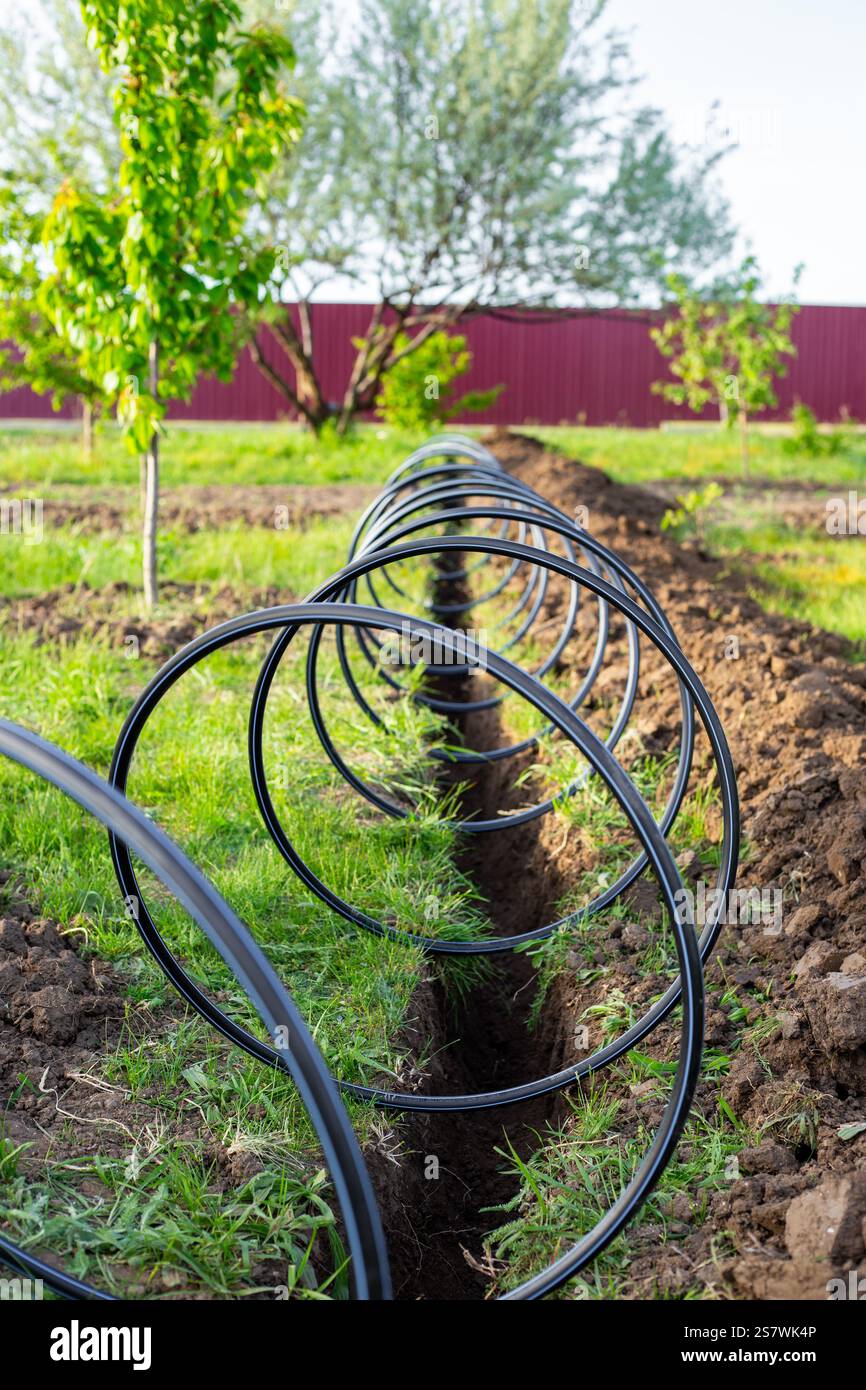 Carrying out drip irrigation in the garden. A ditch dug in the ground ...