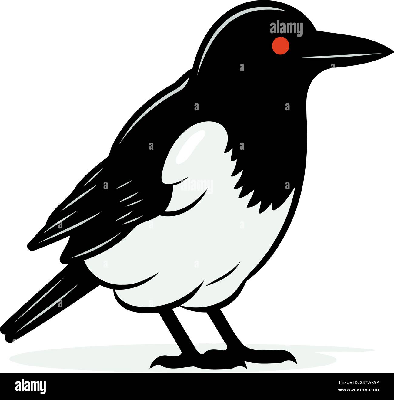 Magpie isolated on white background. Vector illustration in cartoon ...