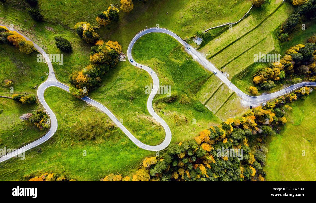 Car journey through lush forested hi-res stock photography and images ...