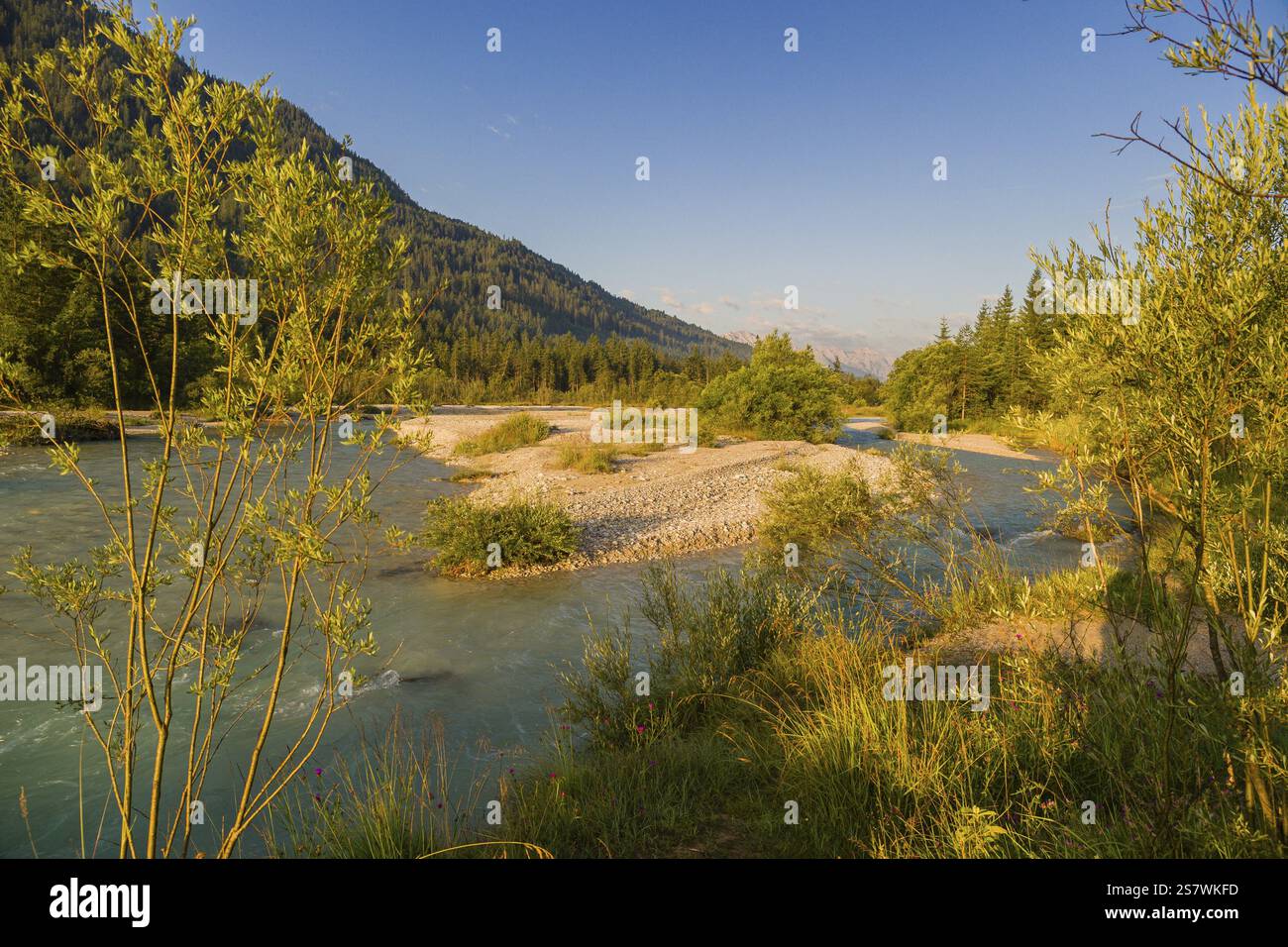 Isar valley nature conservancy area. The wild Isar river flows through ...