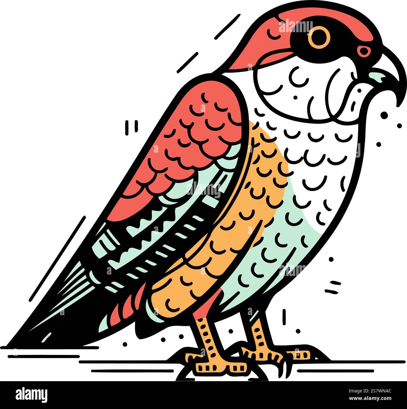 Vector hand drawn sketch of a red necked falcon Stock Vector Image ...
