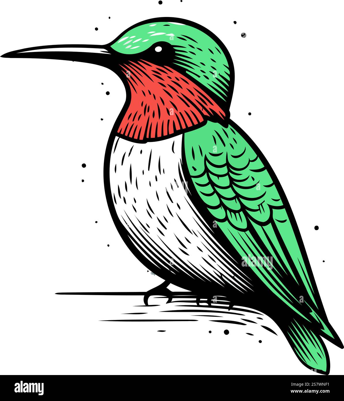 Red throated Bee eater bird. vector illustration Stock Vector Image ...