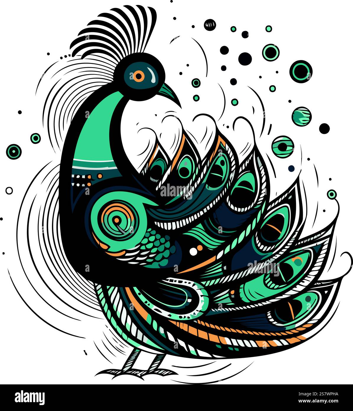 Peacock. Hand drawn vector illustration isolated on white background ...