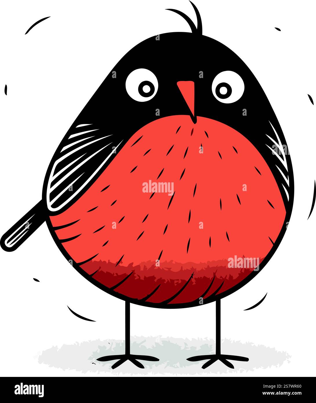 Cute cartoon robin bird isolated on white background. Vector ...