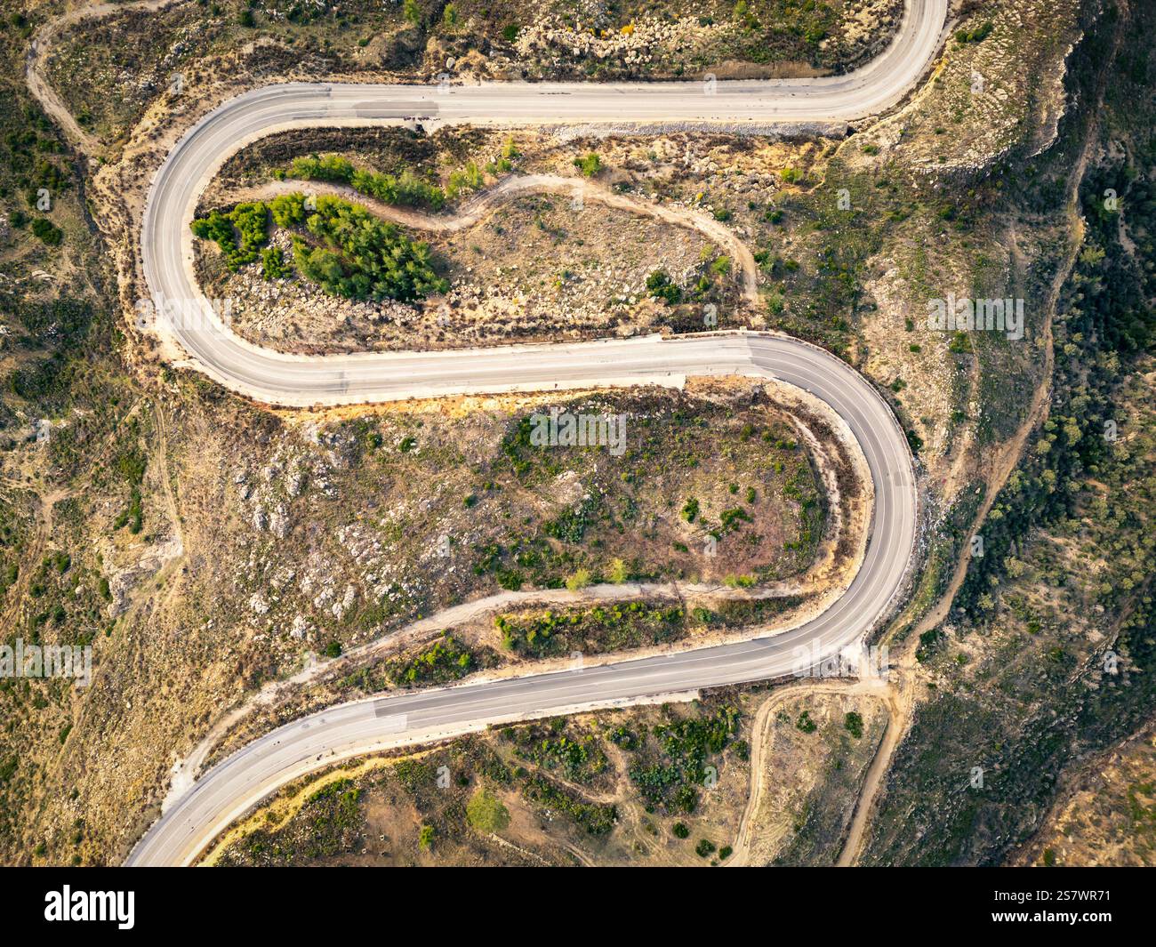 A winding asphalt road that passes through areas with few trees in ...