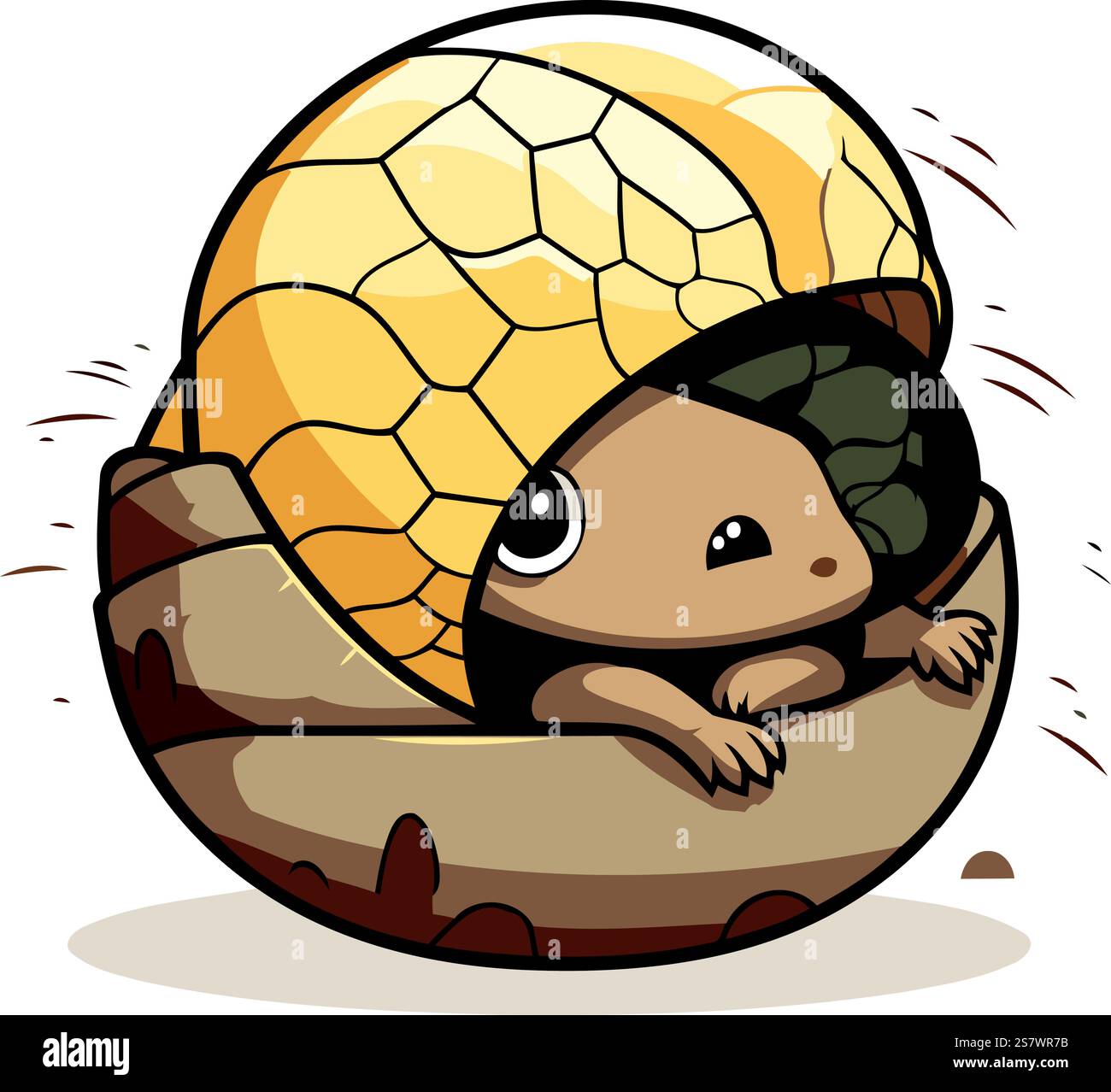 Cute little tortoise in the shell. Cartoon vector illustration Stock ...