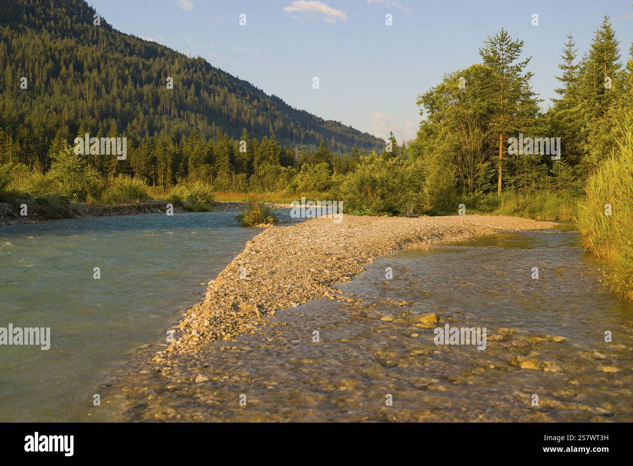 Isar valley nature conservancy area. The wild Isar river flows through ...