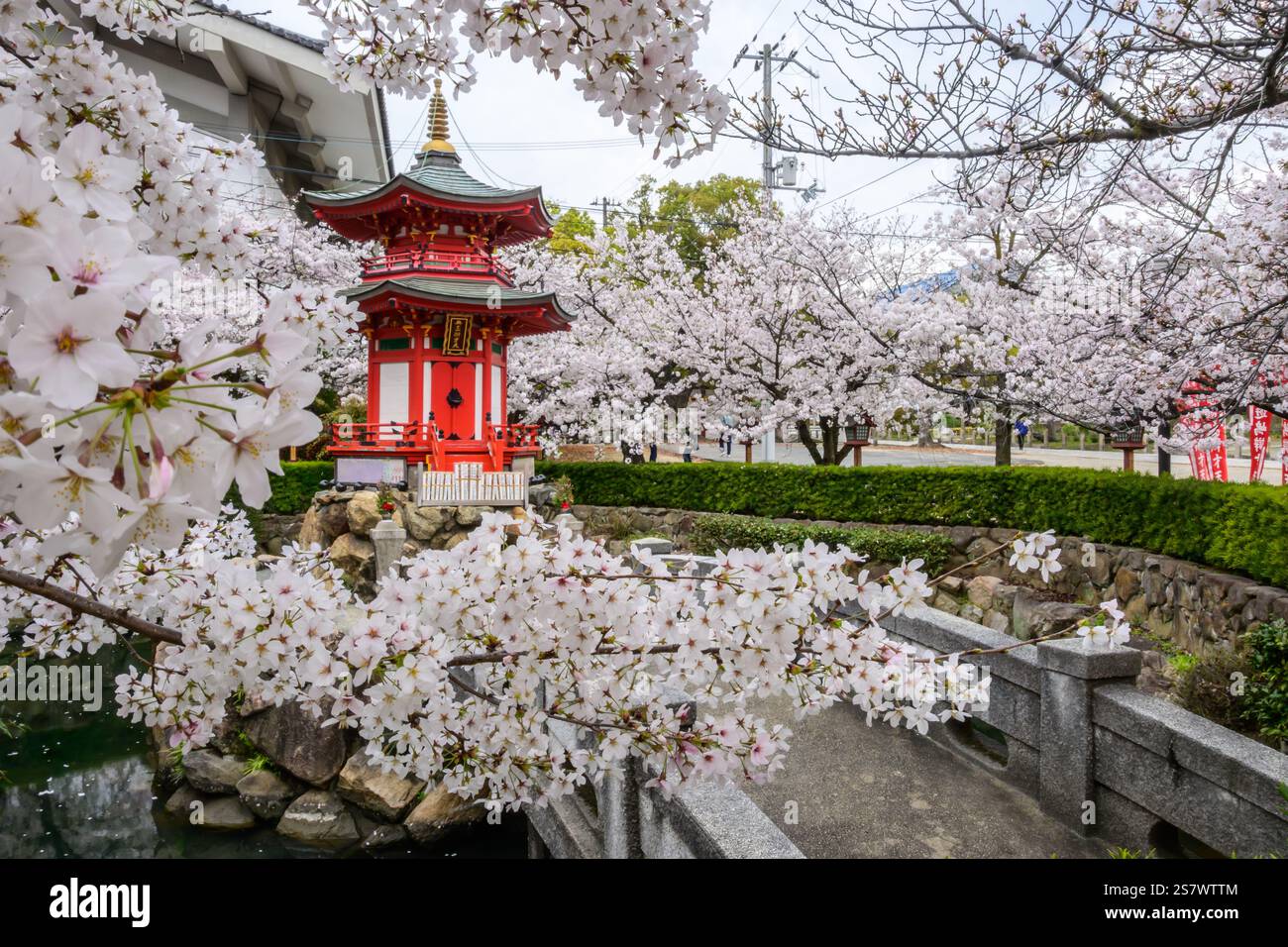 Kiyujima Benzaiten - Red Pagoda Amidst Cherry Blossoms near Shitenno-ji ...