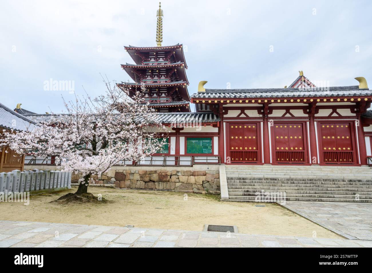 Shitenno-ji Temple in Osaka Spring Blossoms and Ancient Pagoda Stock ...