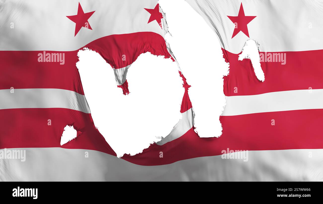 Ragged Washington DC state flag, white background, 3d rendering Stock ...