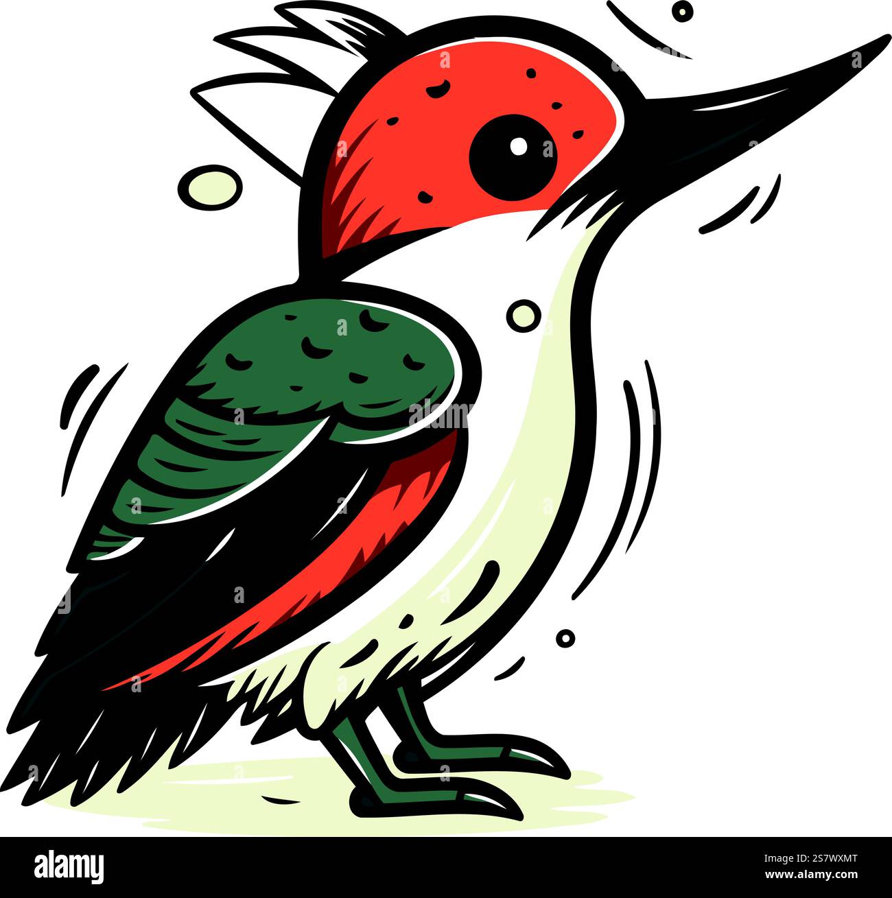 Red bellied Woodpecker. Vector illustration of a bird Stock Vector ...