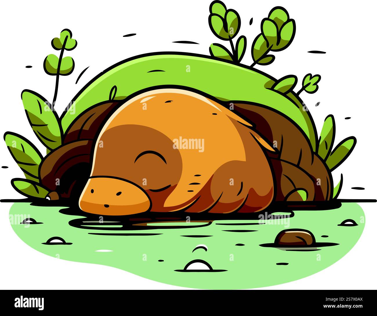 Vector cartoon illustration of a turtle sleeping on a rock in the ...