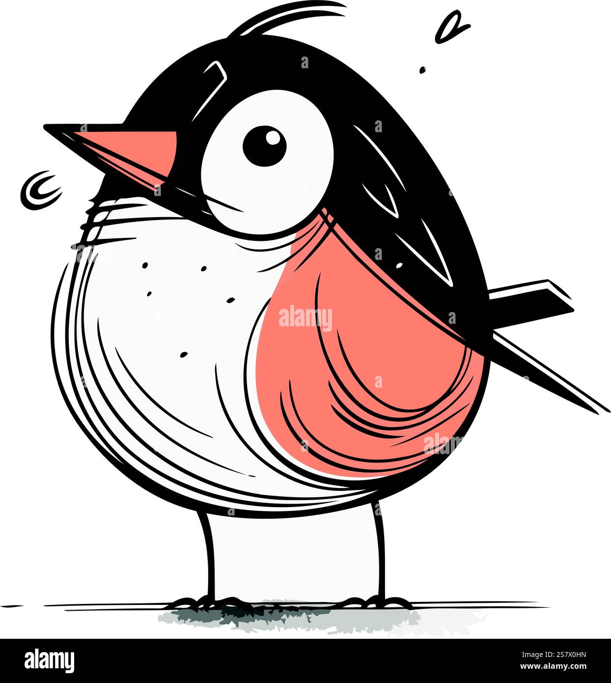 Funny cartoon robin. Vector illustration on a white background Stock ...