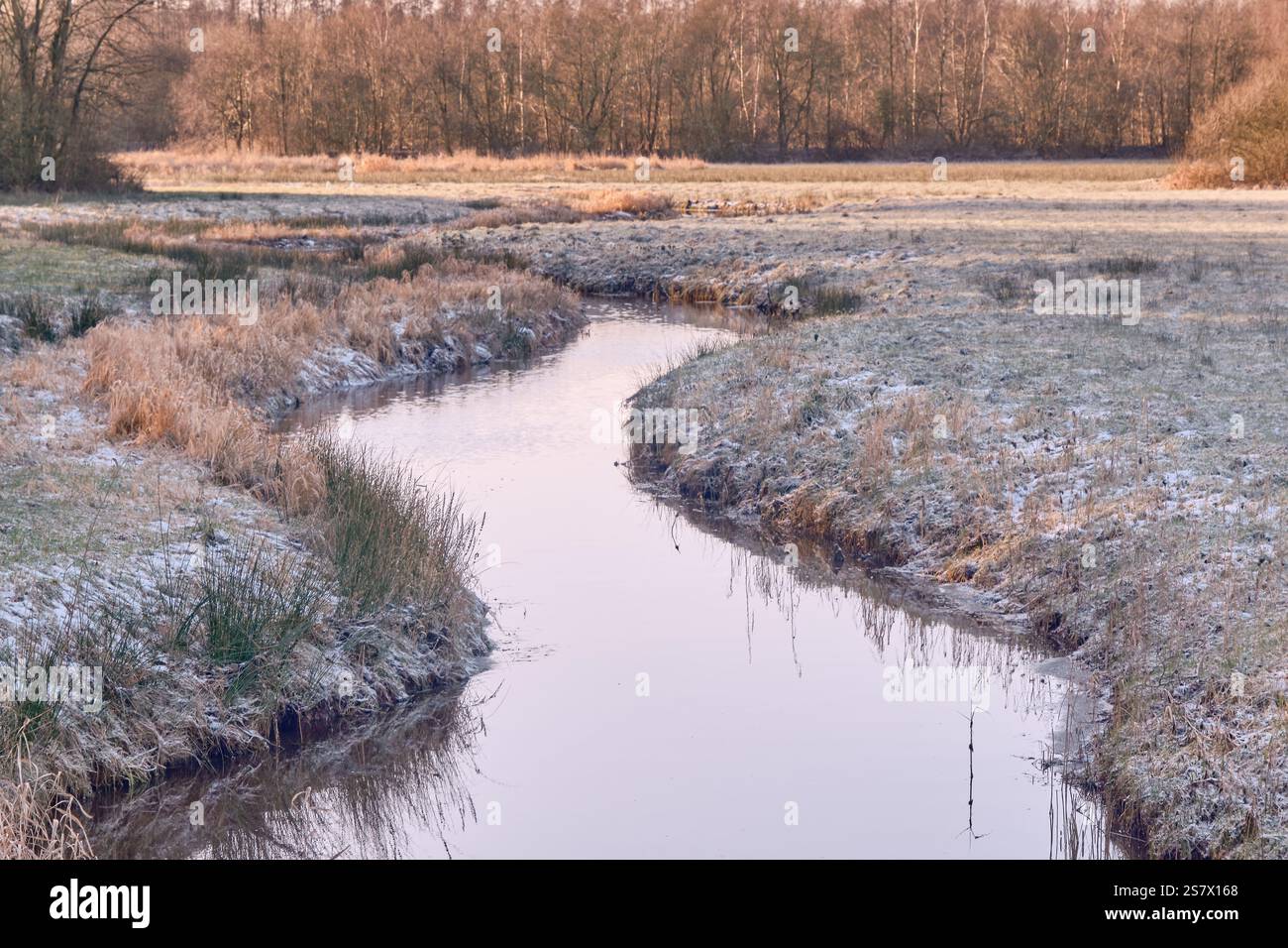 Drenthe, Netherlands: A meandering stream surrounded by frosted ...