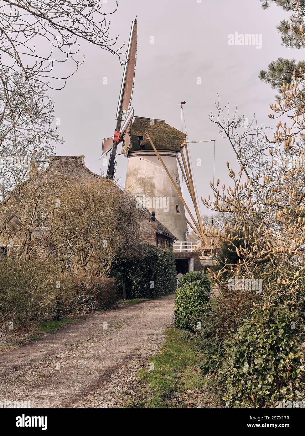 Small windmill among trees hi-res stock photography and images - Alamy