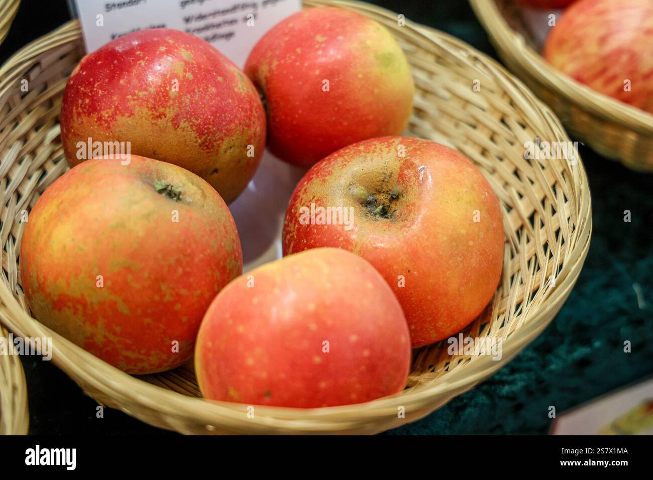 Internationale Grüne Woche 2024. Die Biologische Station im Rhein-Sieg ...