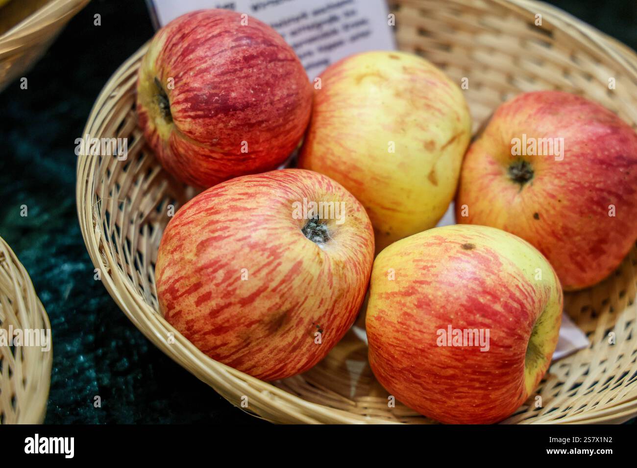 Apfel Frhe Sorten