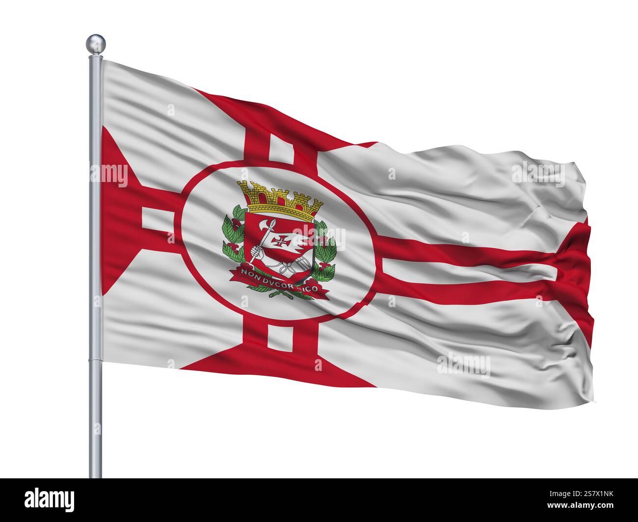 Sao Paulo City Flag On Flagpole, Country Brasil, Isolated On White ...