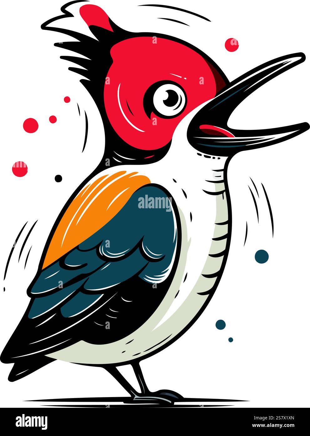 Woodpecker in cartoon style. Vector illustration isolated on white ...