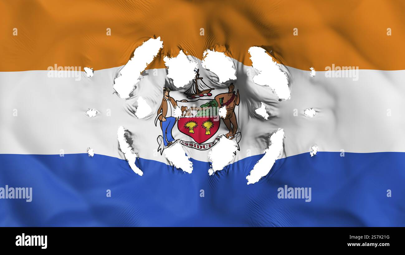 Albany city, capital of New York state flag with a small holes, white ...