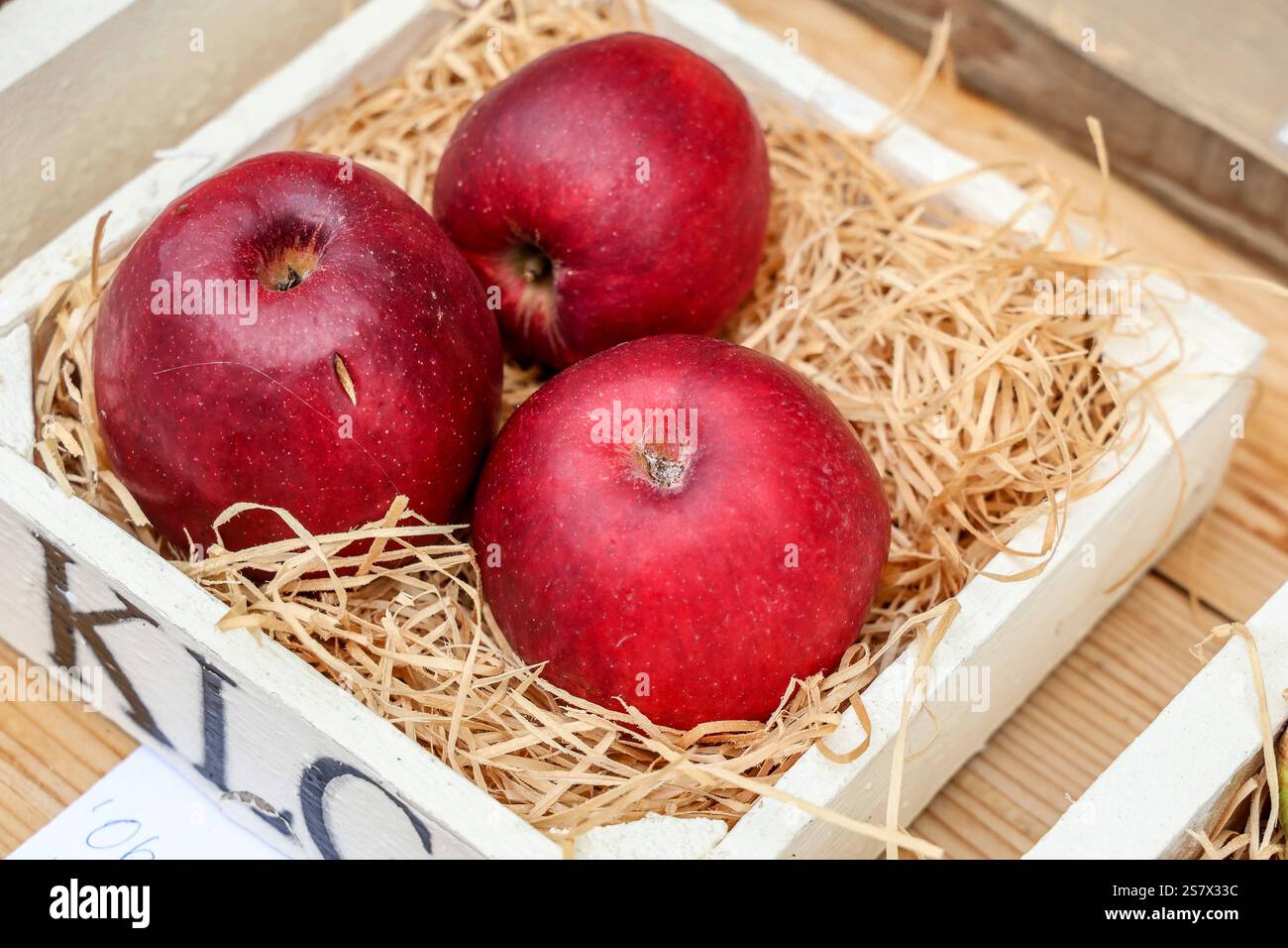 Kreislehrgarten Steinfurt. Obstausstellung mit Sortenbestimmung. Apfel ...