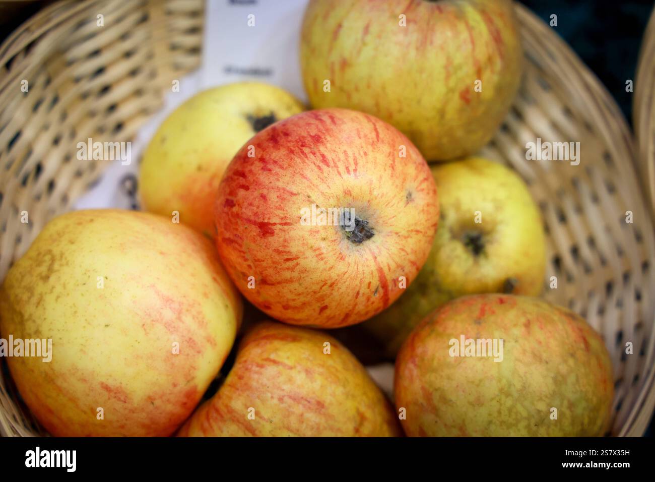 Internationale Grüne Woche 2025. Die Biologische Station im Rhein-Sieg ...