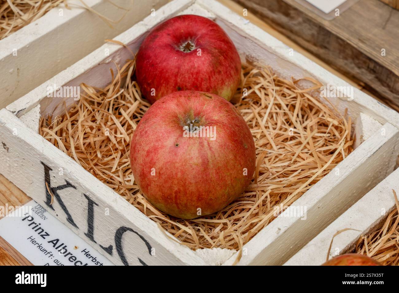 Kreislehrgarten Steinfurt. Obstausstellung mit Sortenbestimmung. Apfel ...