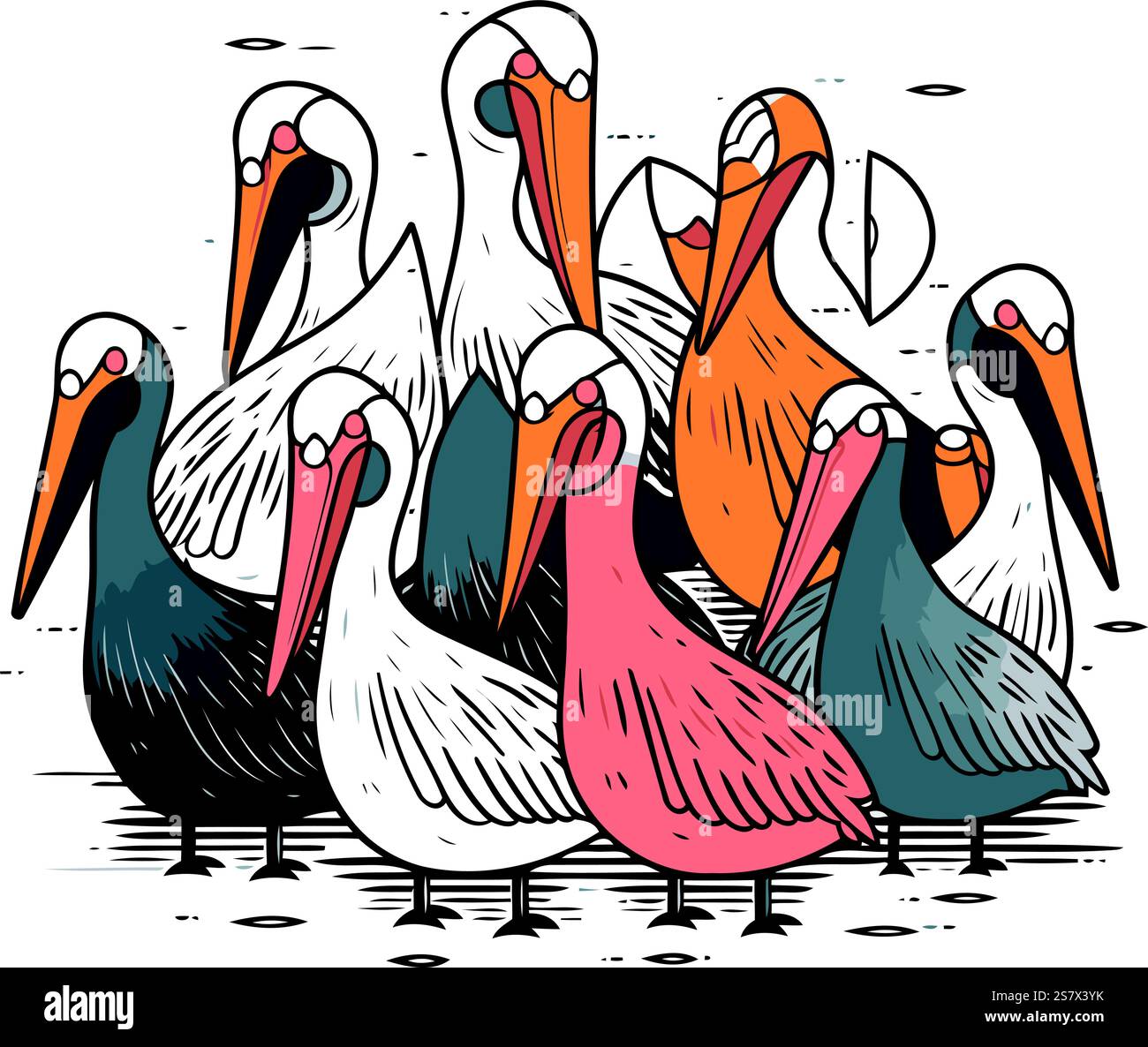 Pelican. Hand drawn vector illustration isolated on white background ...