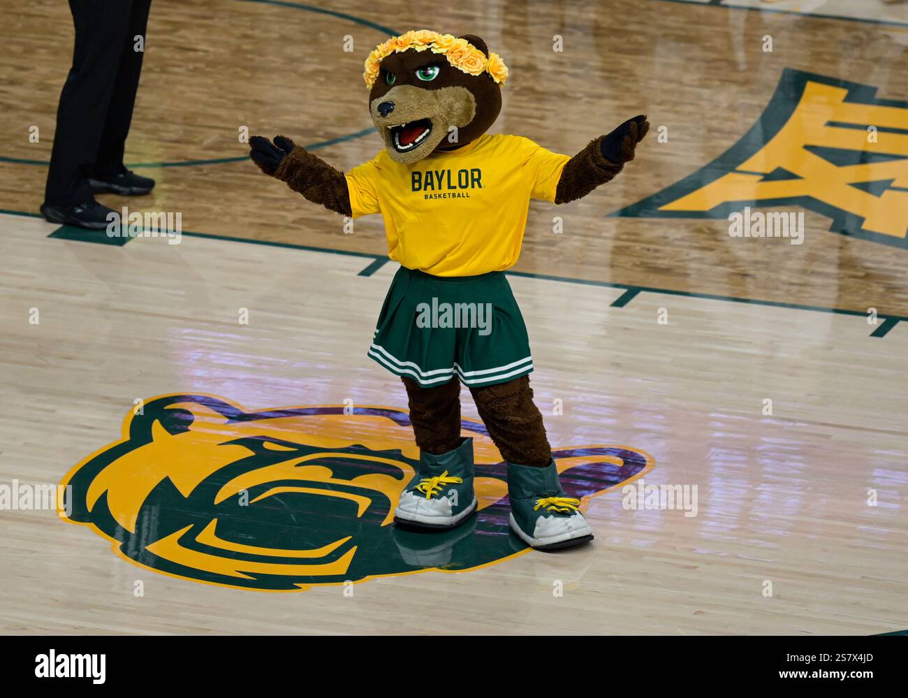 Waco, Texas, USA. 24th Jan, 2025. Baylor Bears mascot during the 1st ...