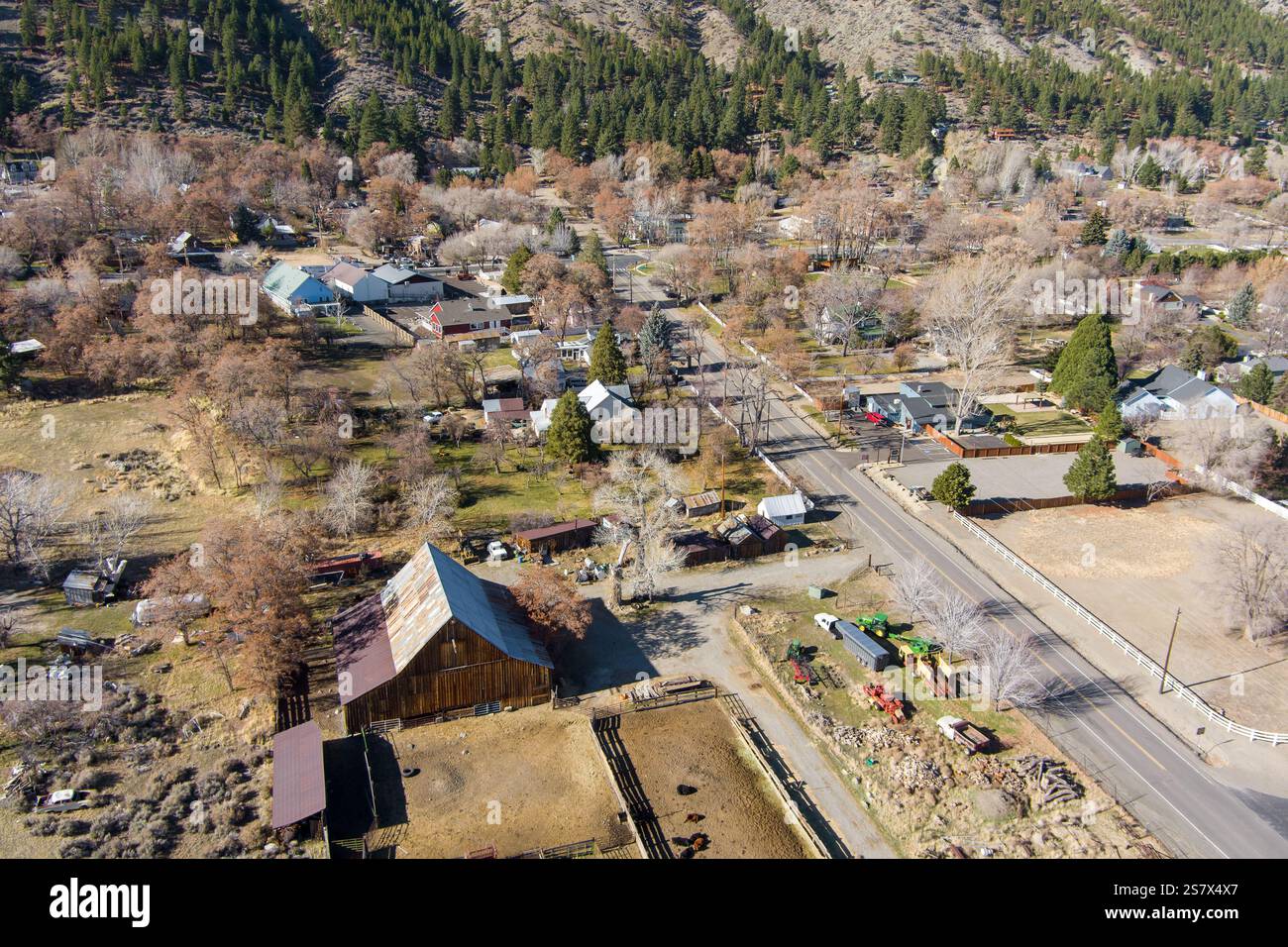 Aerial View of the Genoa Nevada area in Carson Valley with barren trees ...