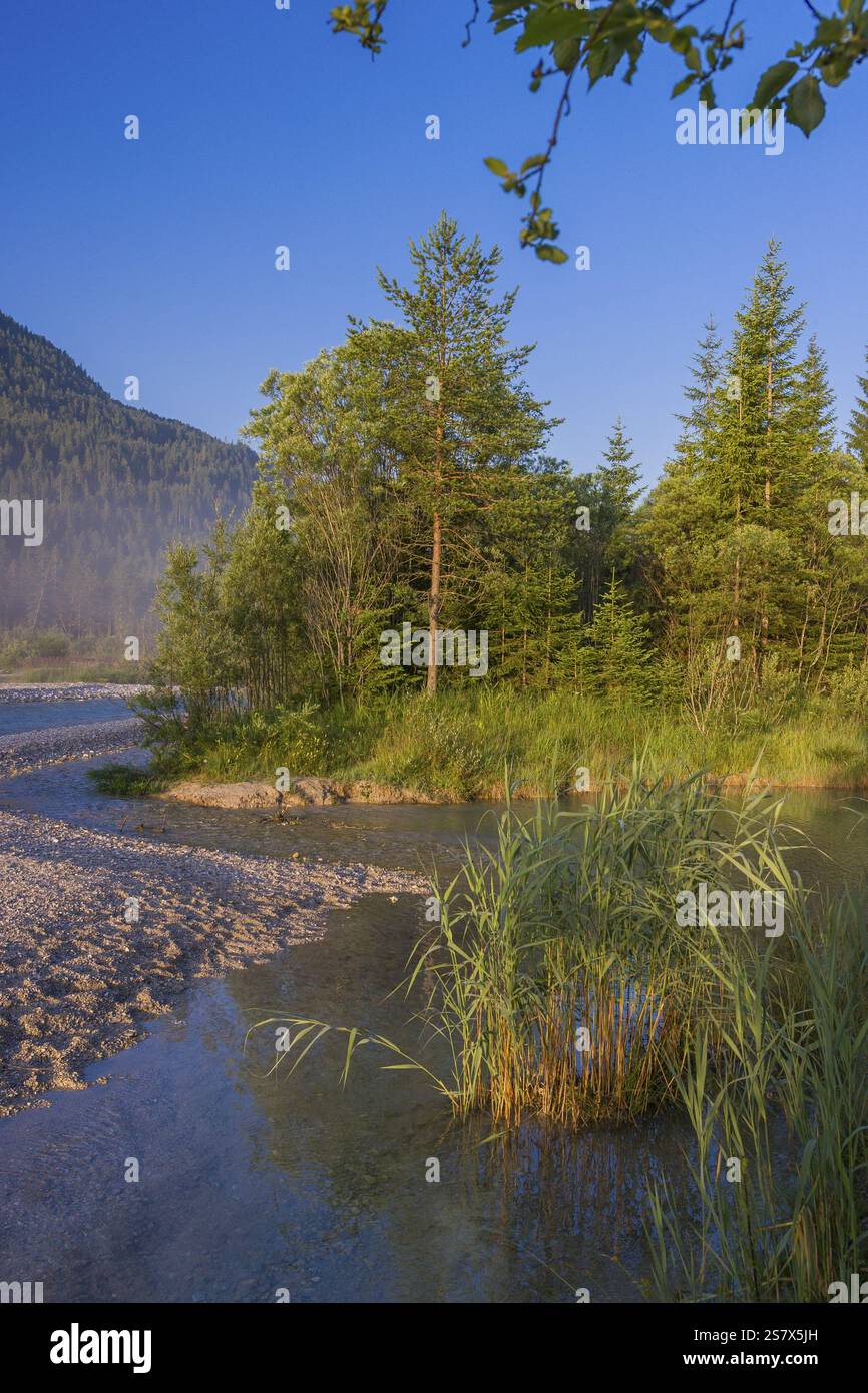 Isar valley nature conservancy area. The wild Isar river flows through ...