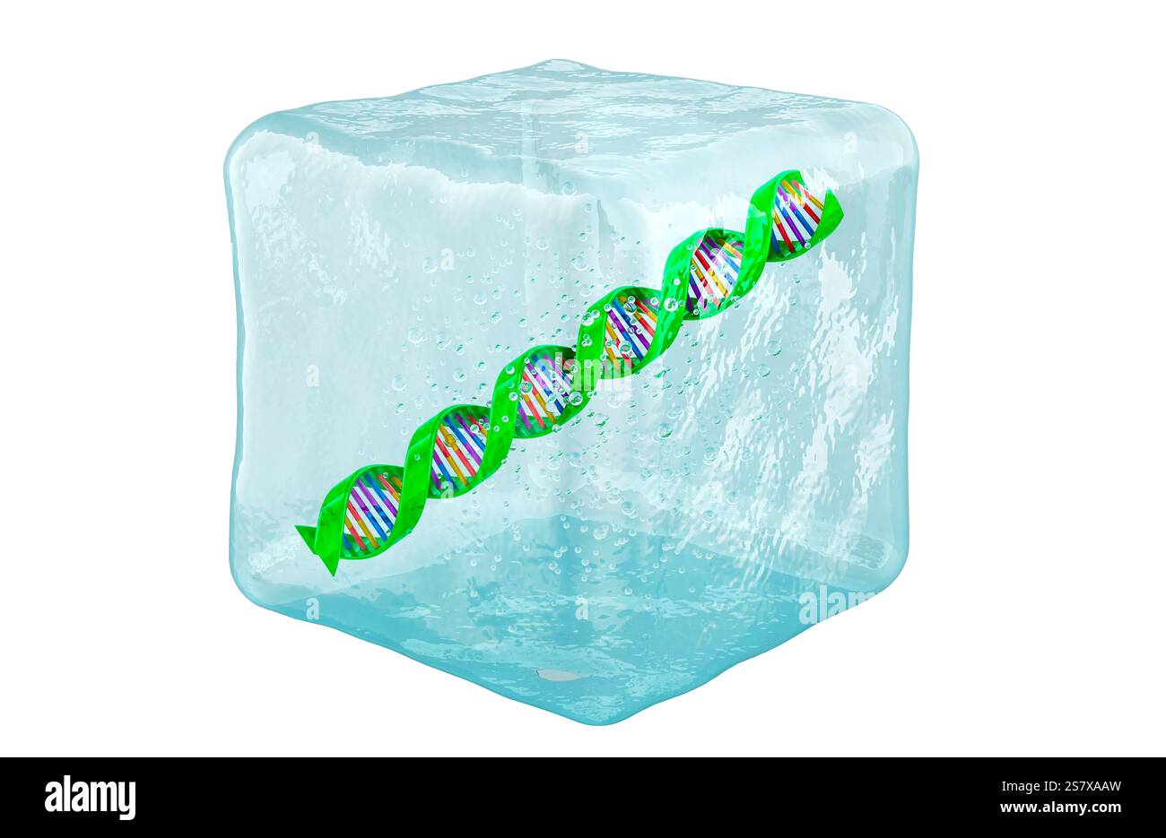 DNA spiral frozen in ice cube, 3D rendering isolated on white ...
