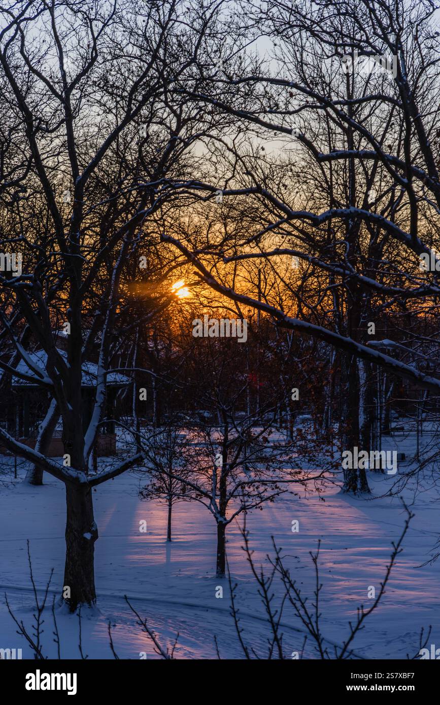 Jersey City, Uinited States. 20th Jan, 2025. Snow is seen accumulating ...