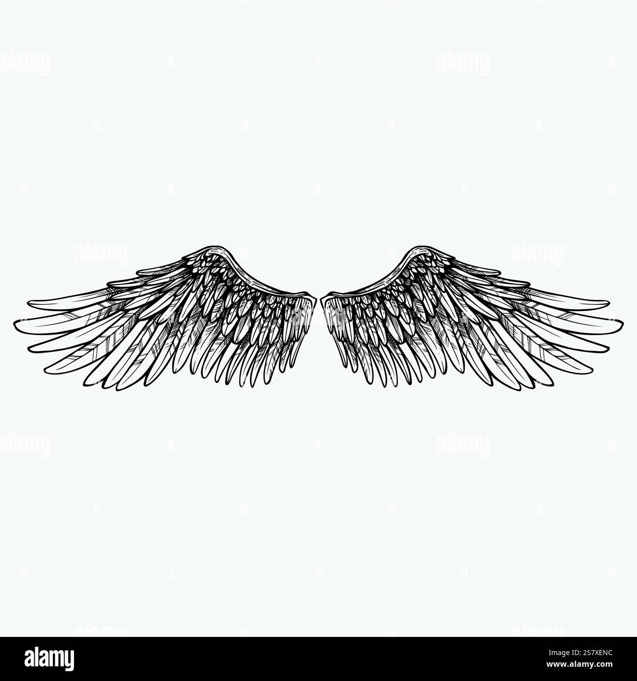 Wings vector Black and White Stock Photos & Images - Alamy