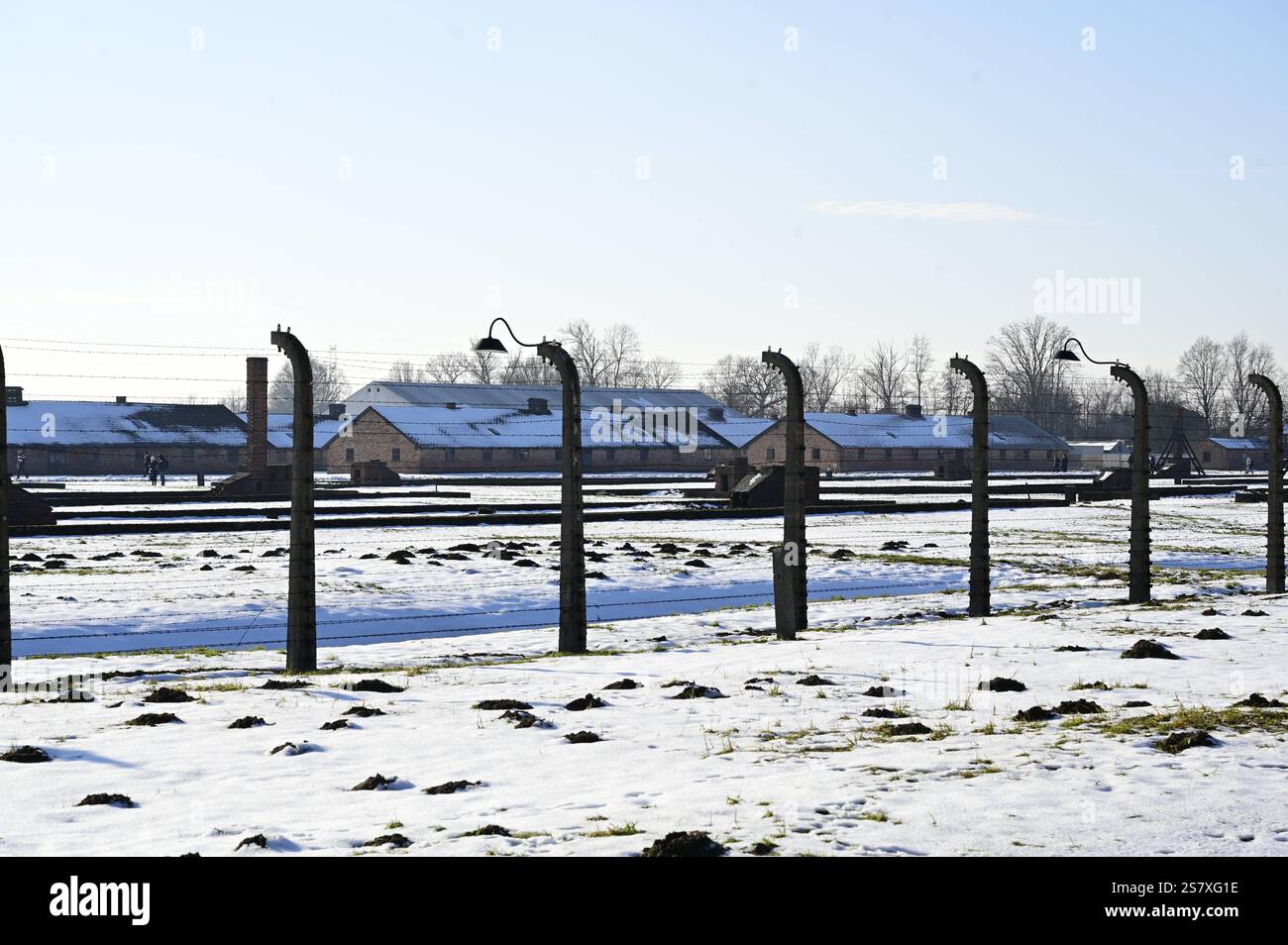 80. Jahrestag der Befreiung des deutschen Konzentrations- und ...