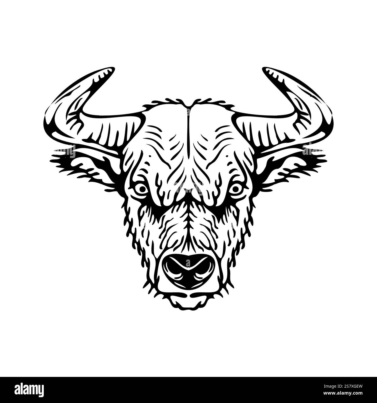 Ox line art for projects hi-res stock photography and images - Alamy