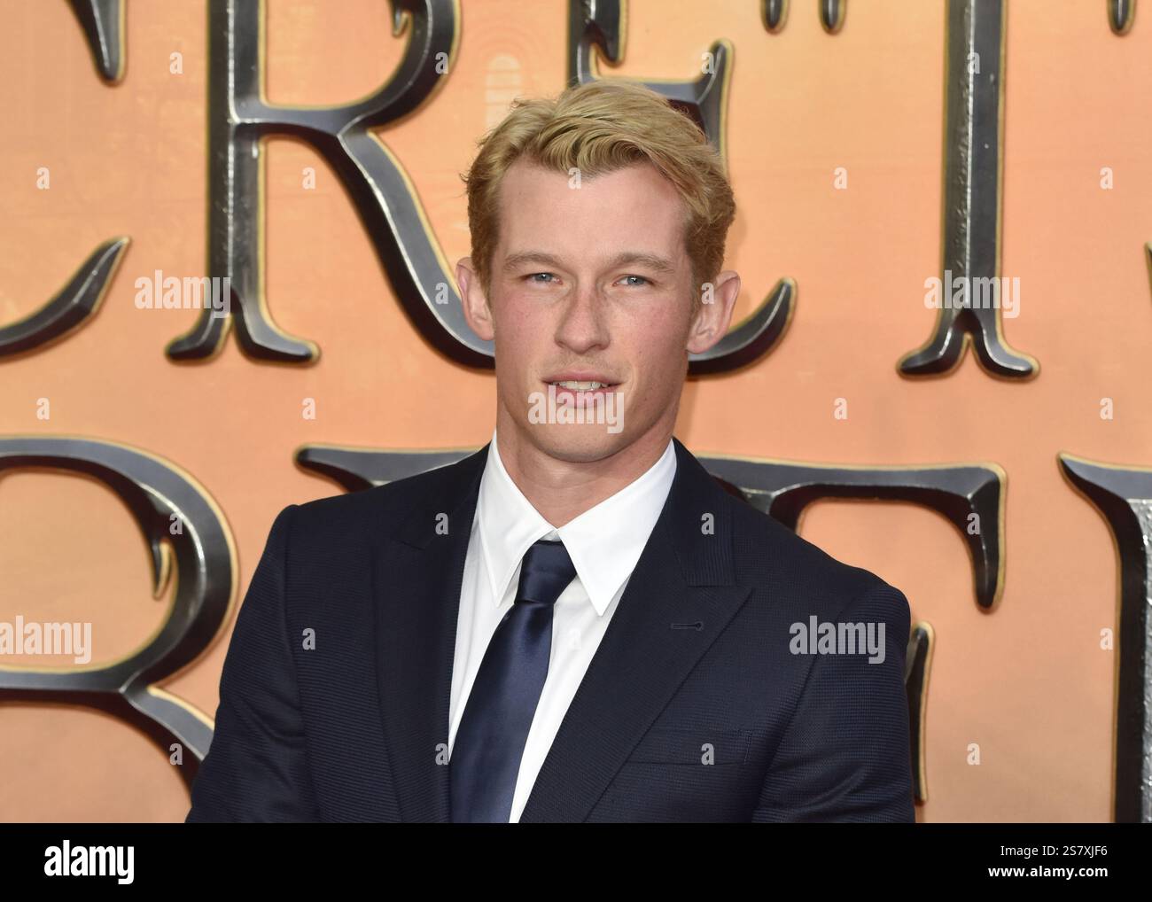 Callum Turner attends 'Fantastic Beasts: The Secrets of Dumbledore ...