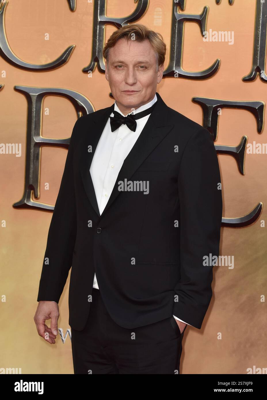 Oliver Masucci attends 'Fantastic Beasts: The Secrets of Dumbledore ...