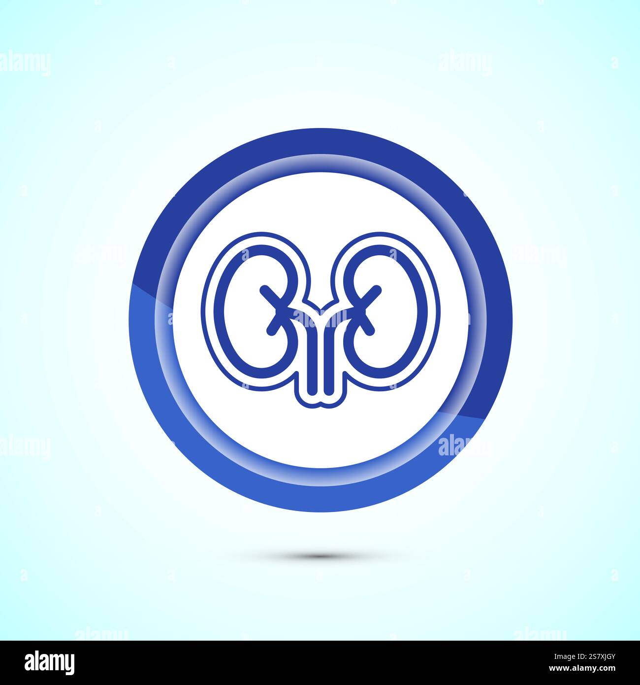 Kidney icon design illustration. Human organ icon, Kidney care logo ...