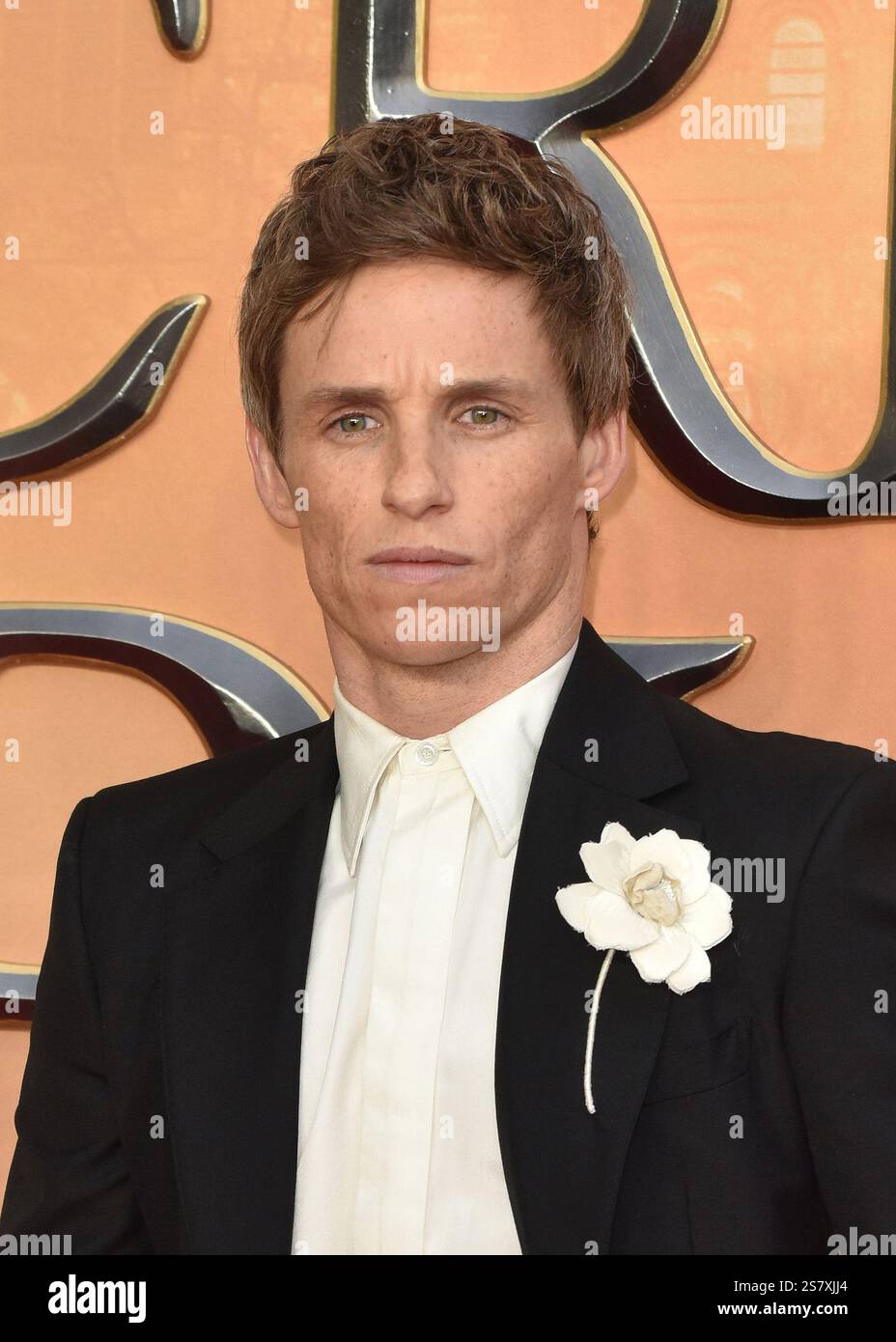 Eddie Redmayne attends 'Fantastic Beasts: The Secrets of Dumbledore ...