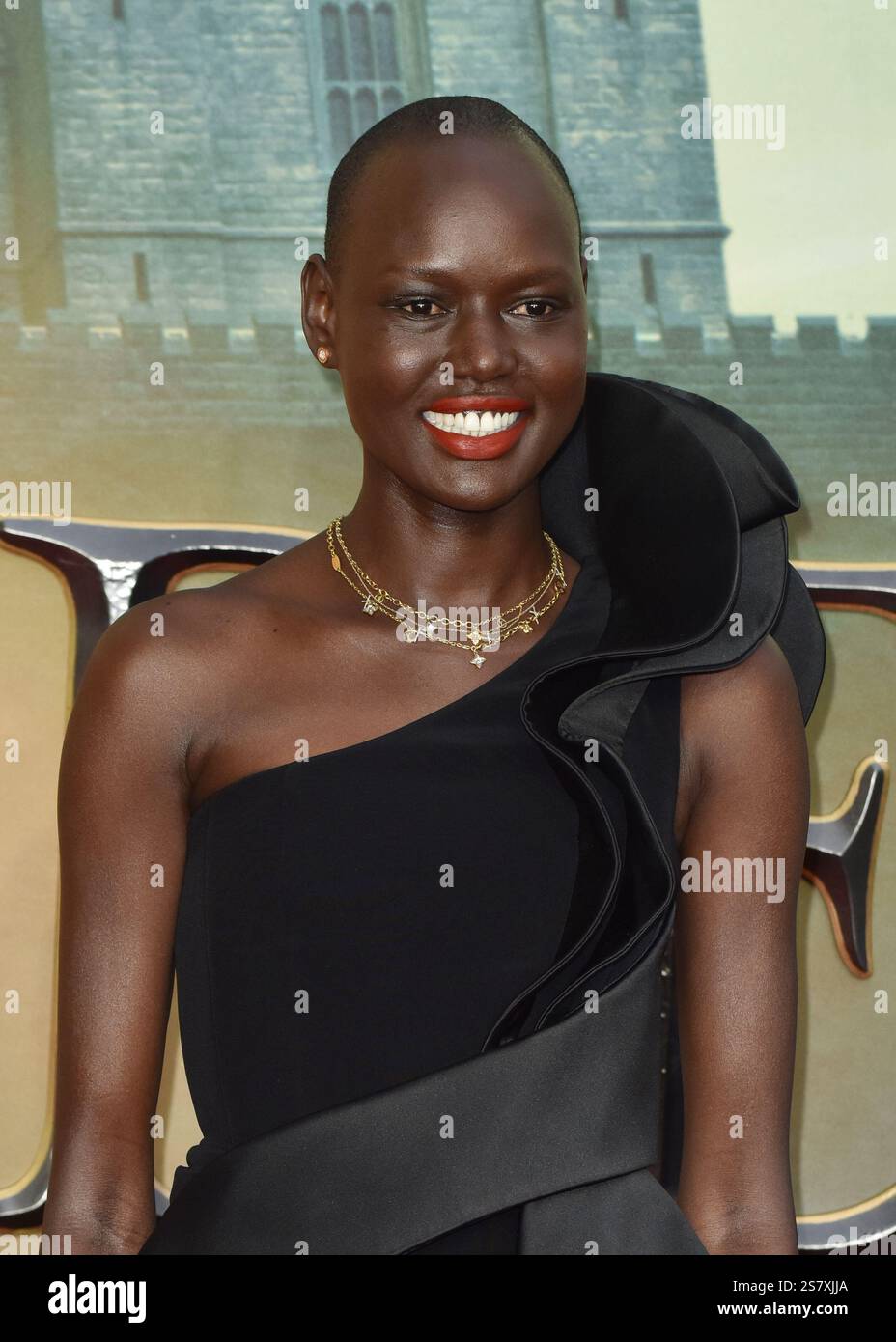 Ajak Deng attends 'Fantastic Beasts: The Secrets of Dumbledore' - World Premiere, at the Royal ...