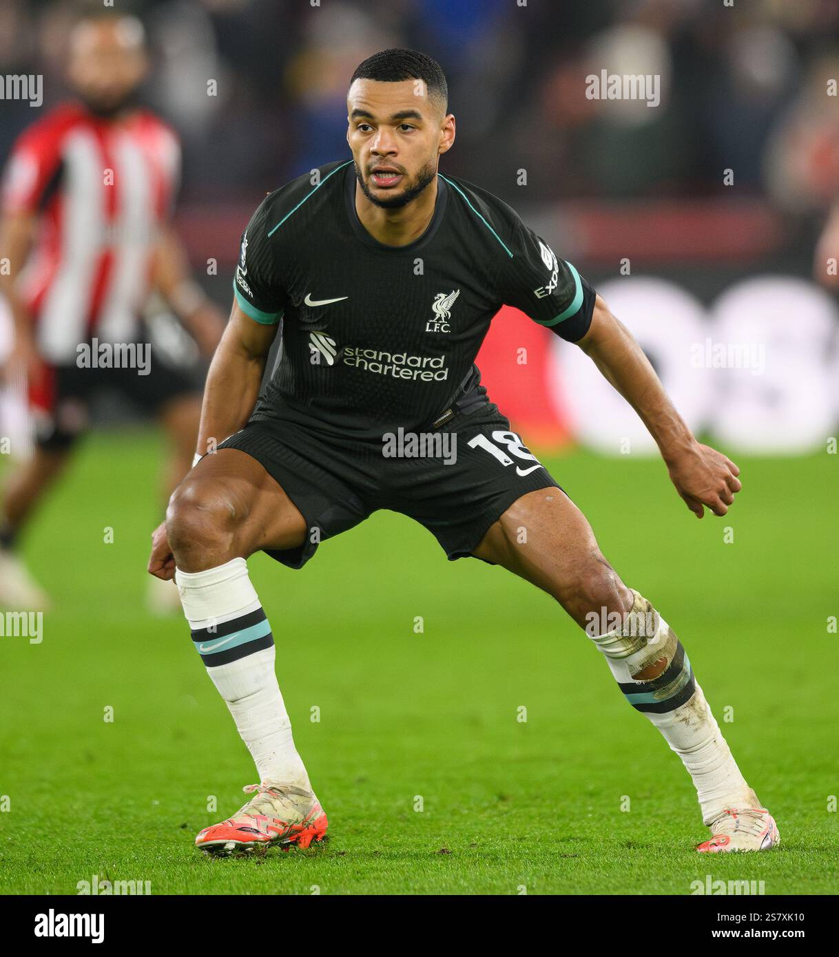 Brentford v Liverpool - Premier League - Gtech Community Stadium ...