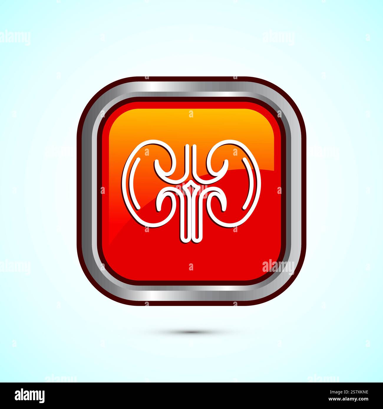 Kidney icon design illustration. Human organ icon, Kidney care logo ...