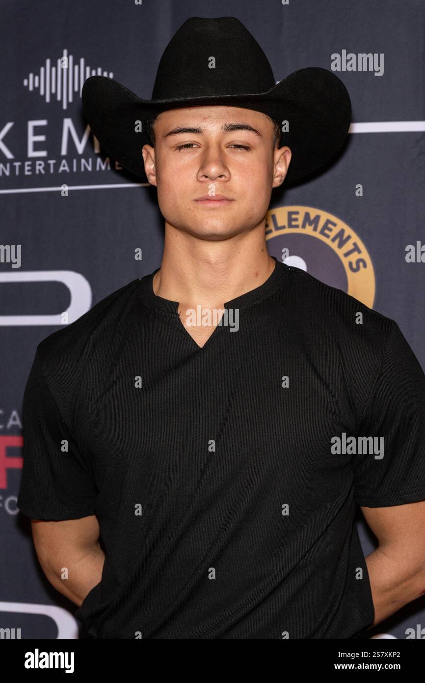 Los Angeles, USA. 19th Jan, 2025. Actor/Musician Rex James IV attends Pre-Grammy Kickoff and ...