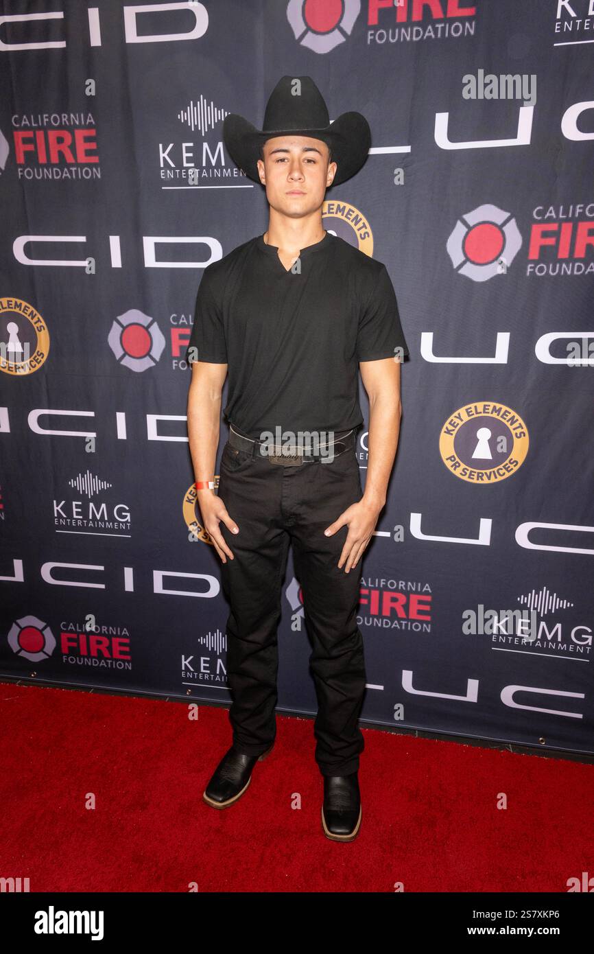 Los Angeles, USA. 19th Jan, 2025. Actor/Musician Rex James IV attends ...