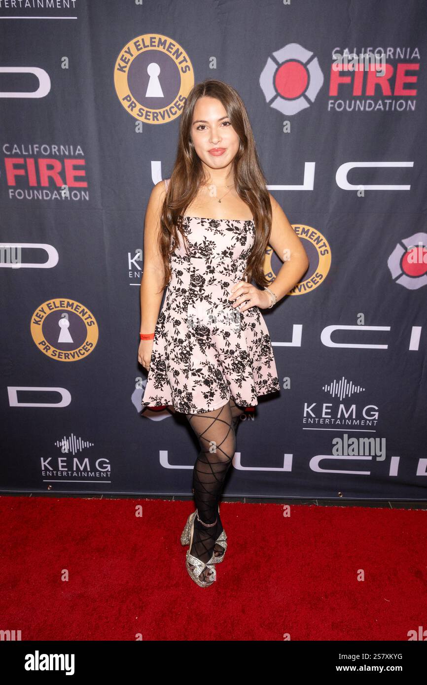 Los Angeles, USA. 19th Jan, 2025. Musician Reese Warren attends Pre ...