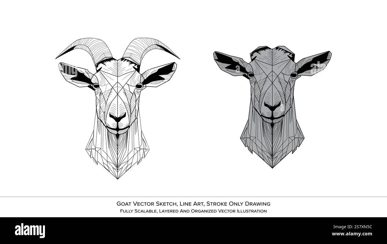 Goat Head and Face Vector Sketch - Minimalist and Detailed Line Art for ...